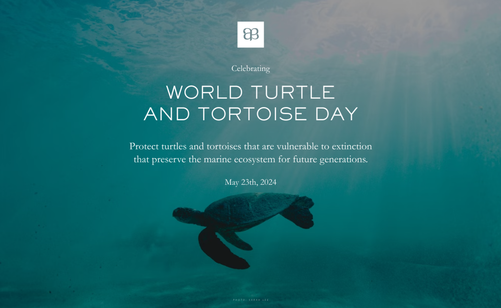 Celebrate World Turtle and Tortoise Day